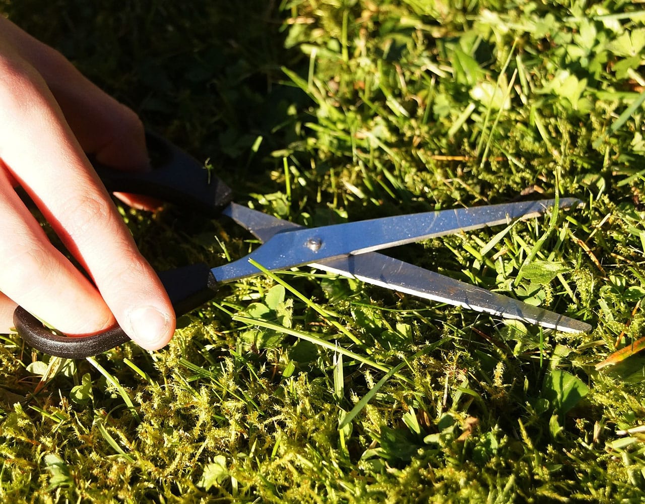 LAWN-TECH, Inc. – Lawn Care Service Company in New Jersey