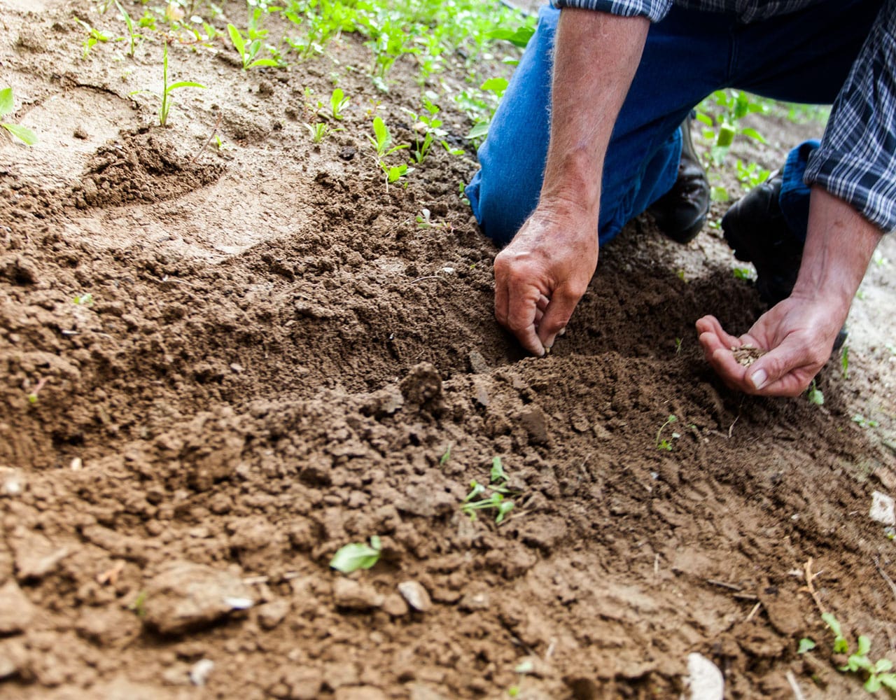 LAWN-TECH, Inc. – Lawn Care Service Company in New Jersey